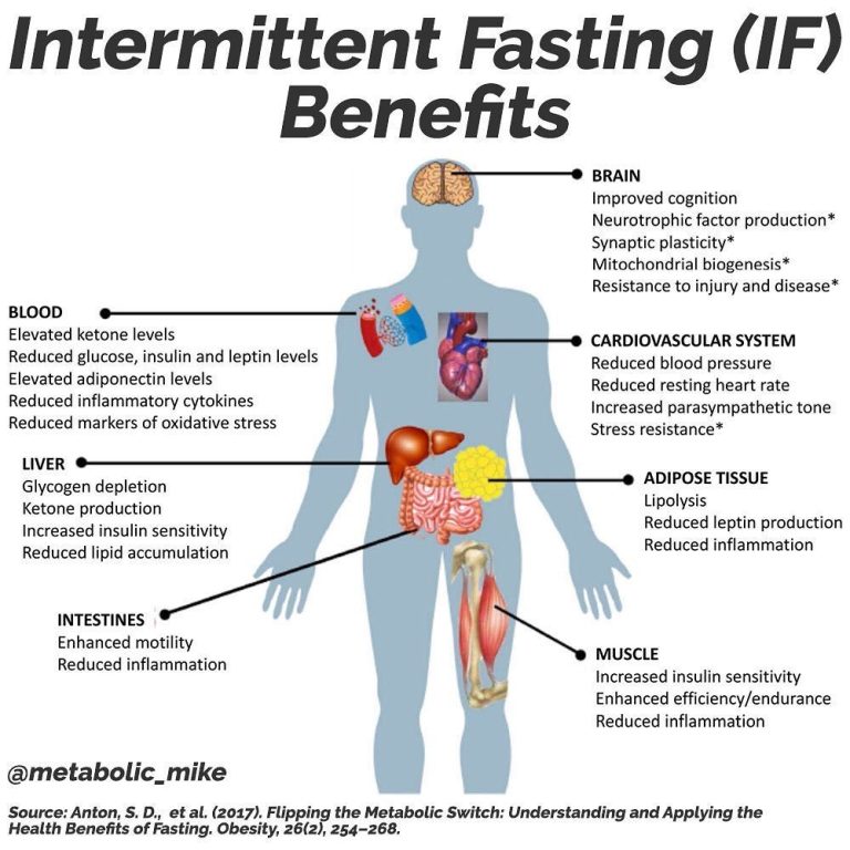 What Intermittent Fasting Does To Your Body | Upgraded Health