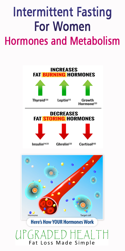 hormones and metabolism on intermittent fasting | Upgraded Health