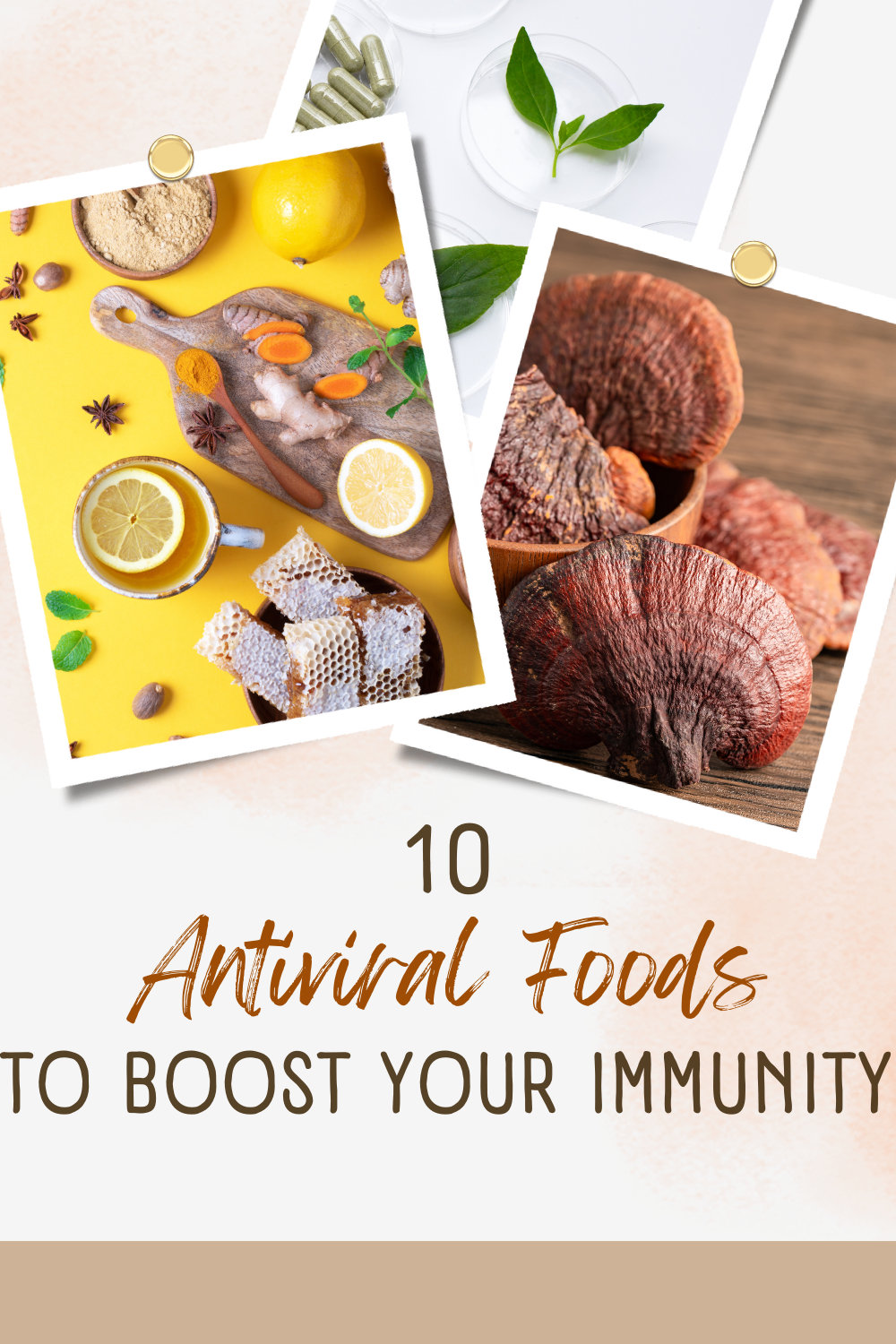 10 Antiviral Foods To Boost Your Immunity | Upgraded Health