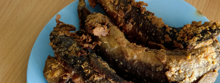 50 Carnivore Air-Fryer Recipes | Upgraded Health