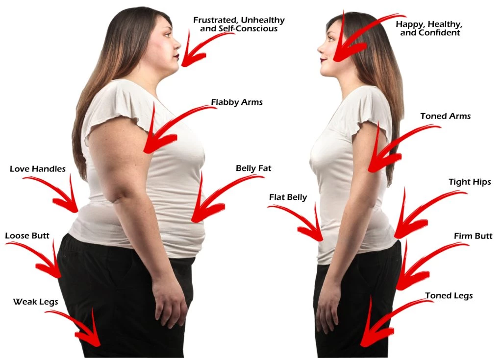 Differences Between Fat-Storing Body and a Fat-Burning Body