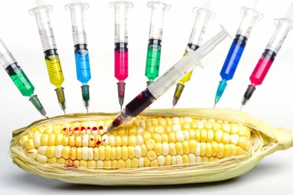 cornneedles | Upgraded Health